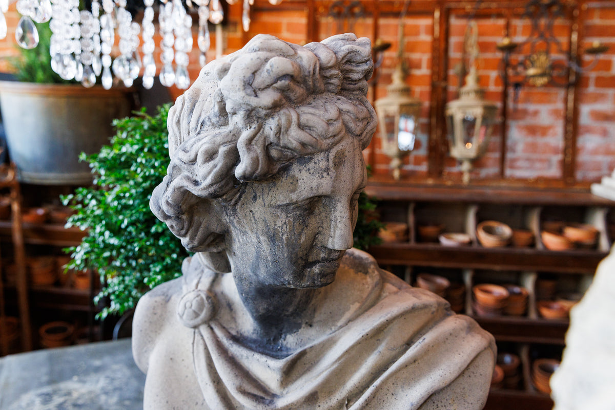 Apollo Stone Bust – French & Sons
