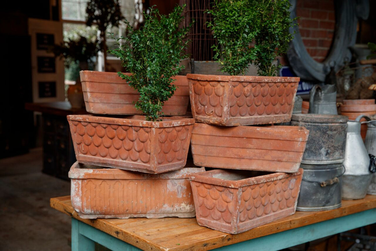 Italian Terracotta Troughs – French & Sons
