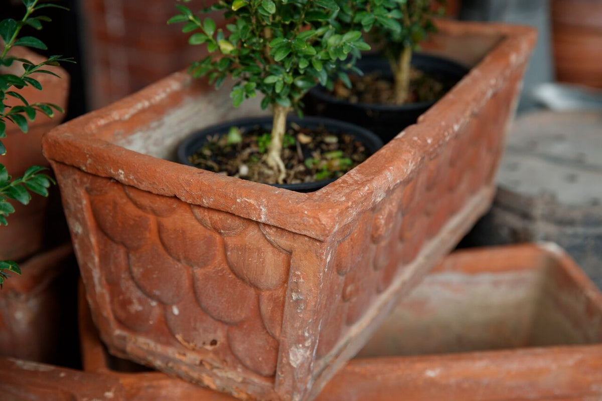 Italian Terracotta Troughs – French & Sons